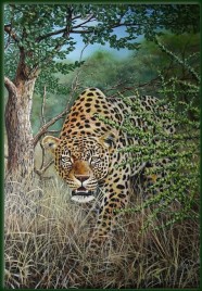African Wildlife Paintings | Nico Bulder Wildlife Painter
